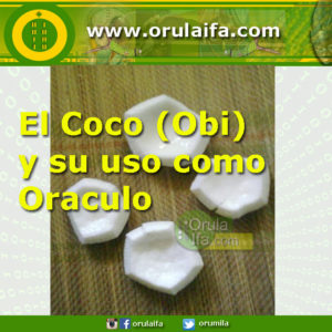 El Coco (Obi) y su uso como Oraculo – www.orulaifa.com
